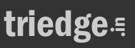 Triedge Solutions Portal